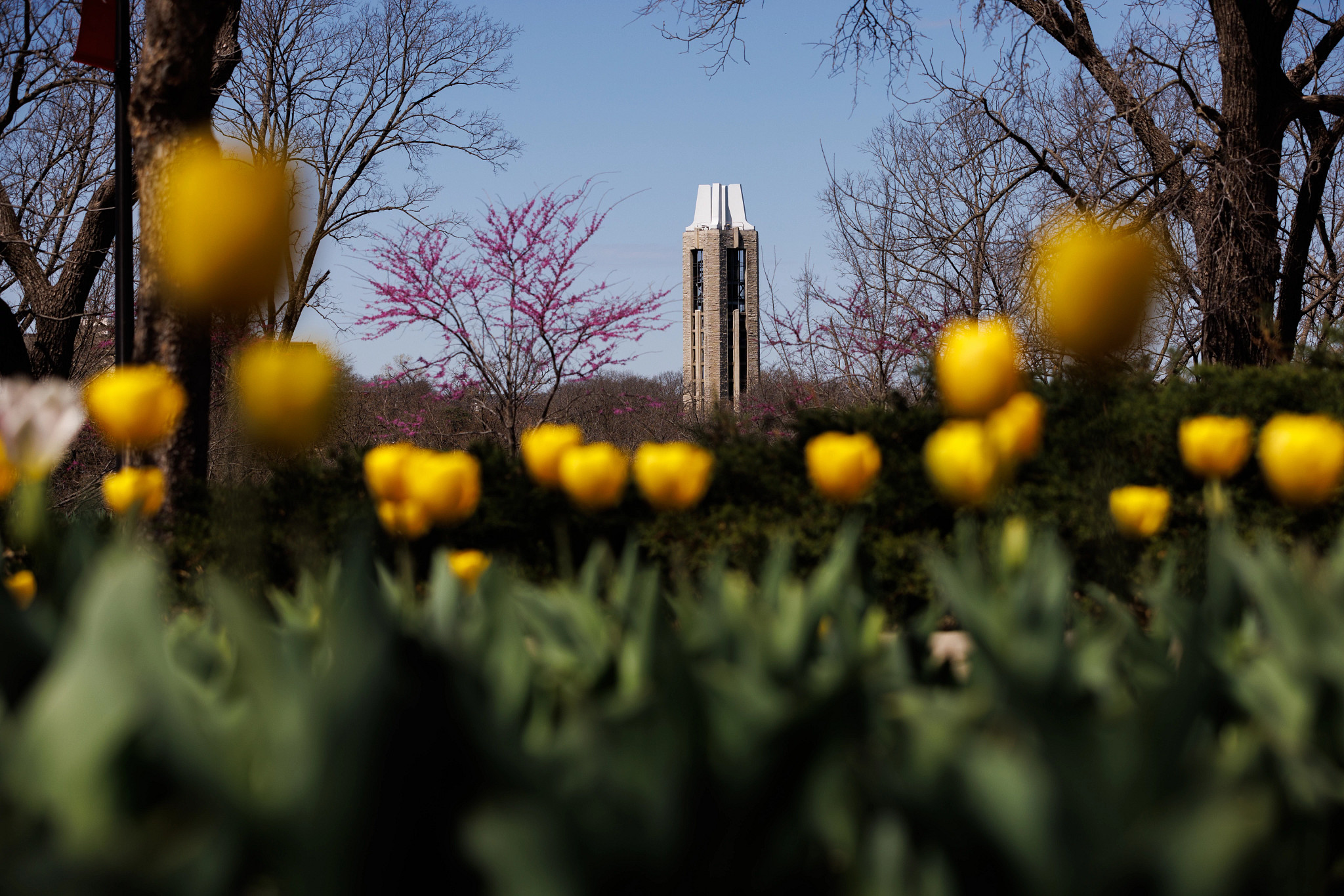 Homepage | Human Resource Management